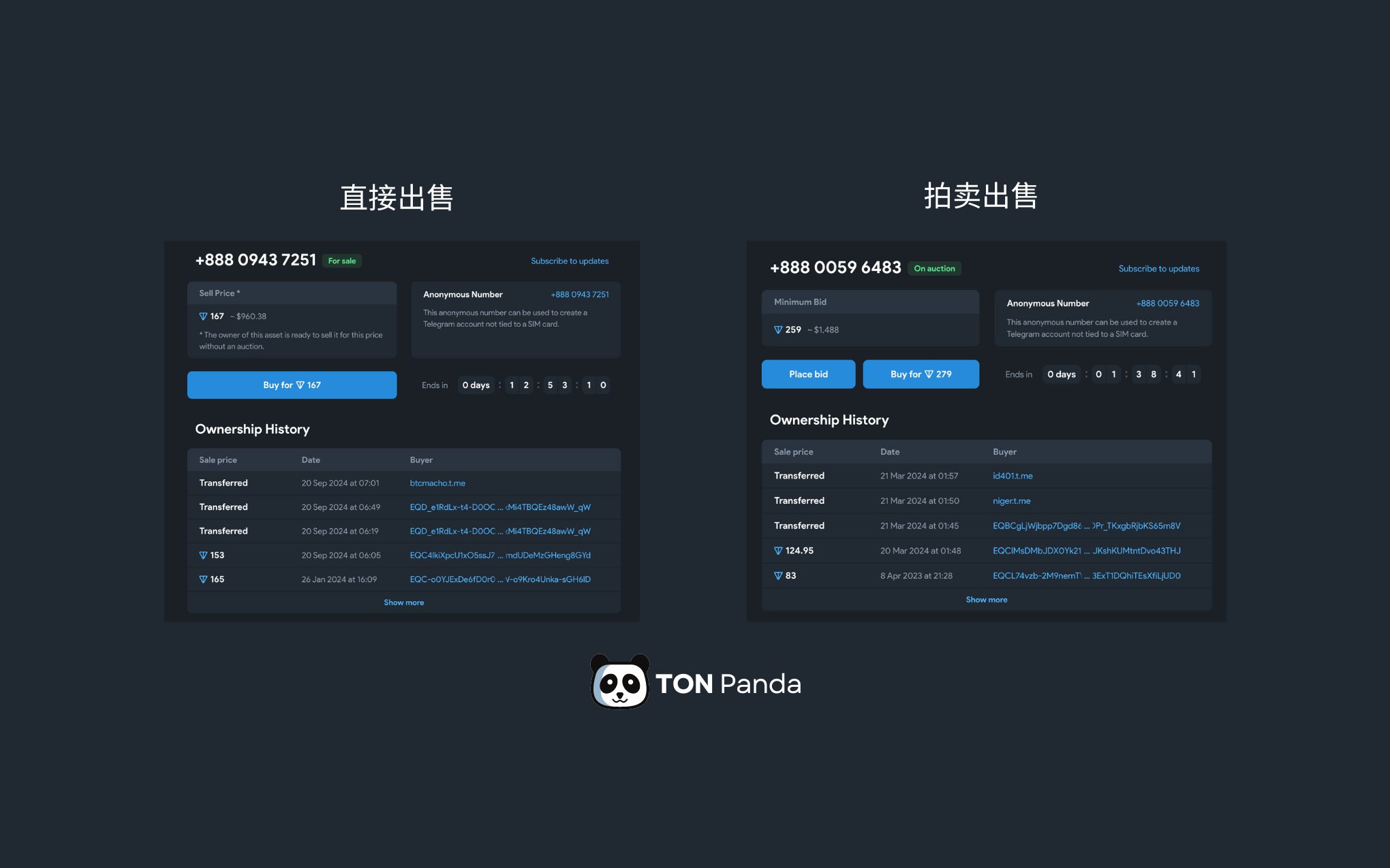 Fragment.com 全方位指南 - 购买用户名，匿名号码 - TON Panda