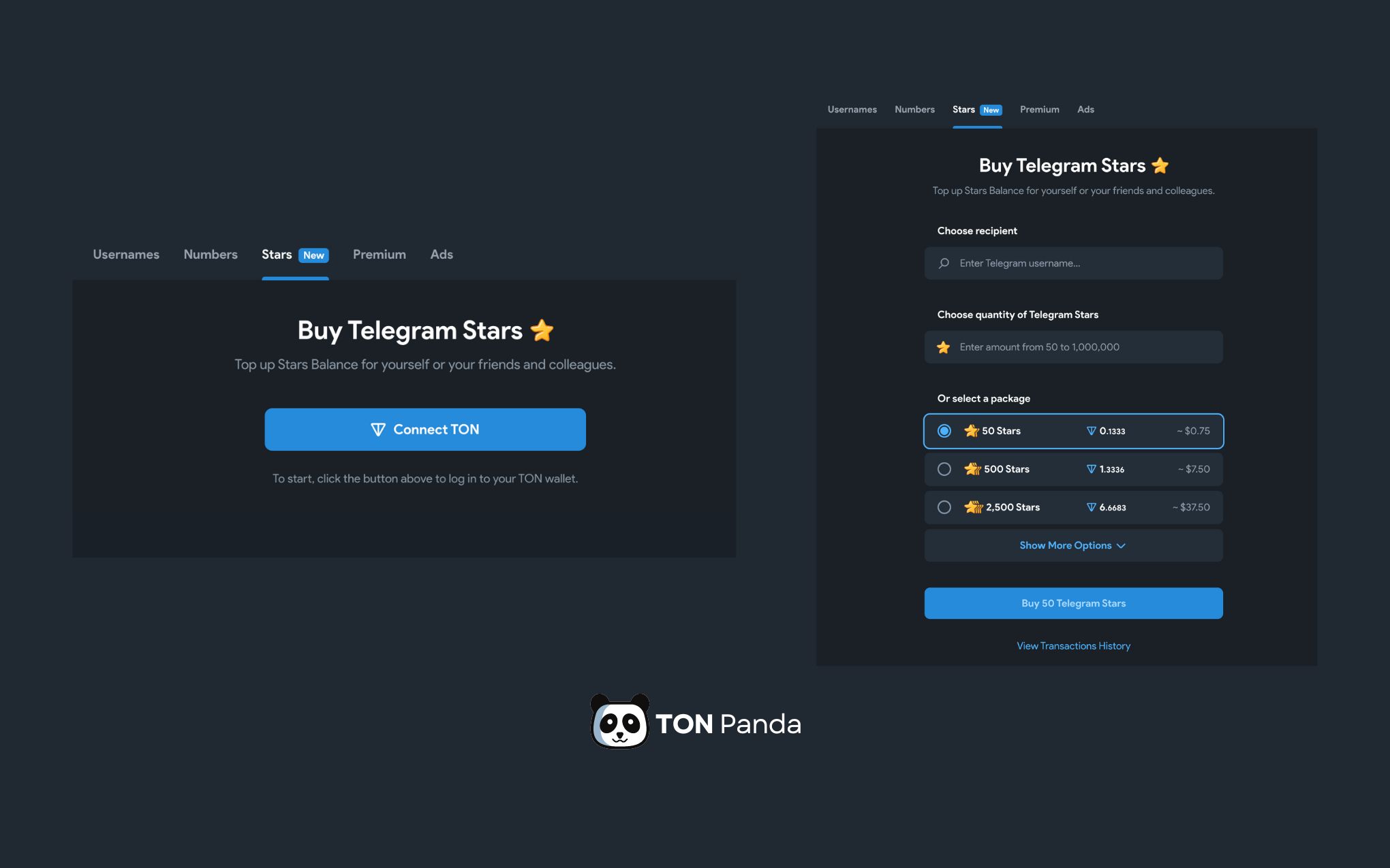 Fragment.com 全方位指南 - 购买用户名，匿名号码 - TON Panda
